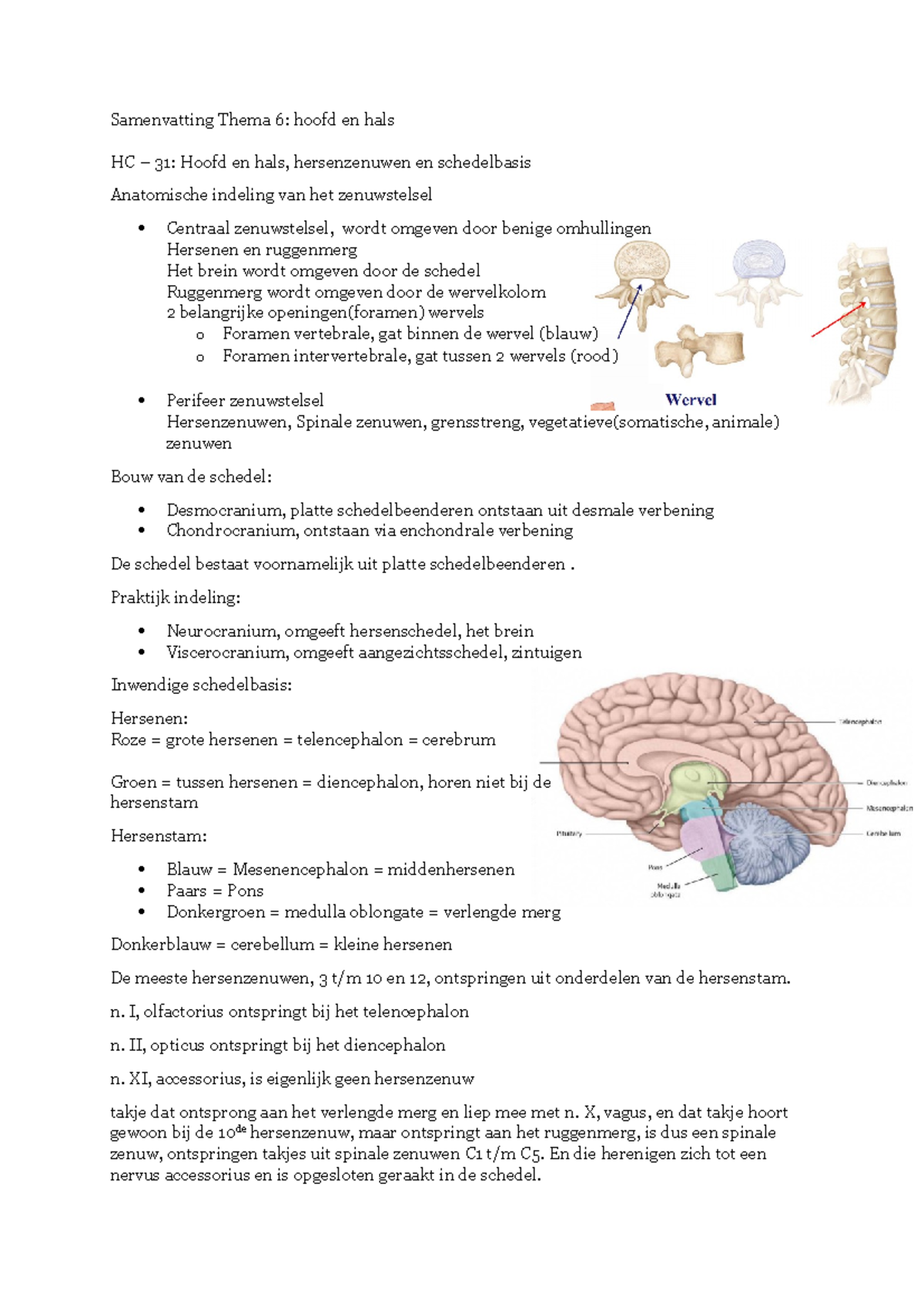 Samenvatting Thema 6 - Praktijk indeling: Neurocranium, omgeeft ...