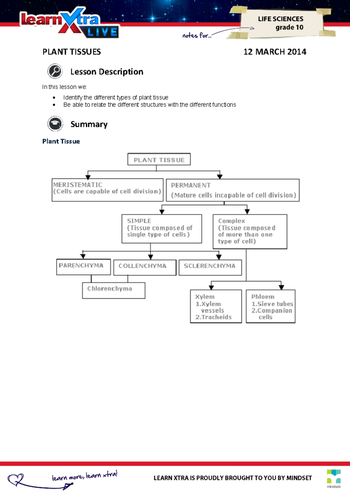LXL Gr10Life Sciences 06 Plant Tissue 12Mar2014 - PLANT TISSUES 12 ...