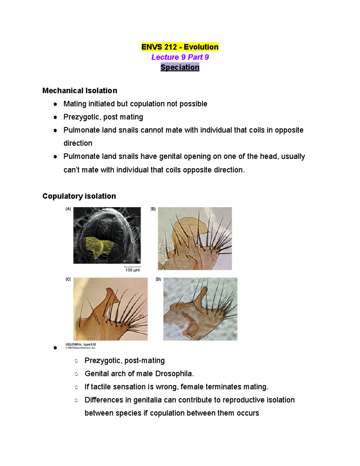 ENVS 212 Lecture 9 Part 9 - Spring 2020 - ENVS 212 - Evolution Lecture 9 Part 9 Speciation - Studocu