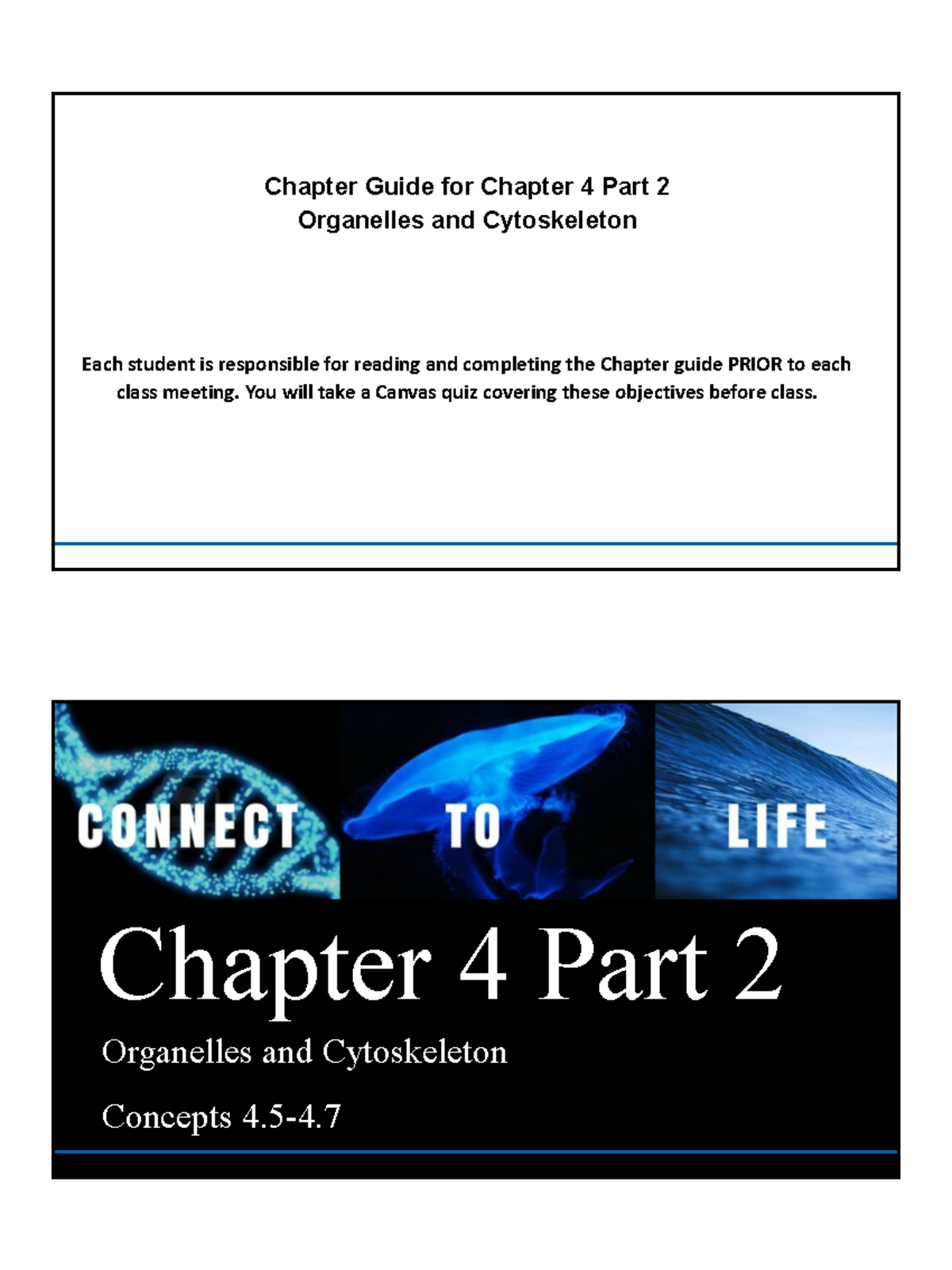 Chapter 4 Part 2 PP and Worksheet Summary - Chapter Guide for Chapter 4 ...