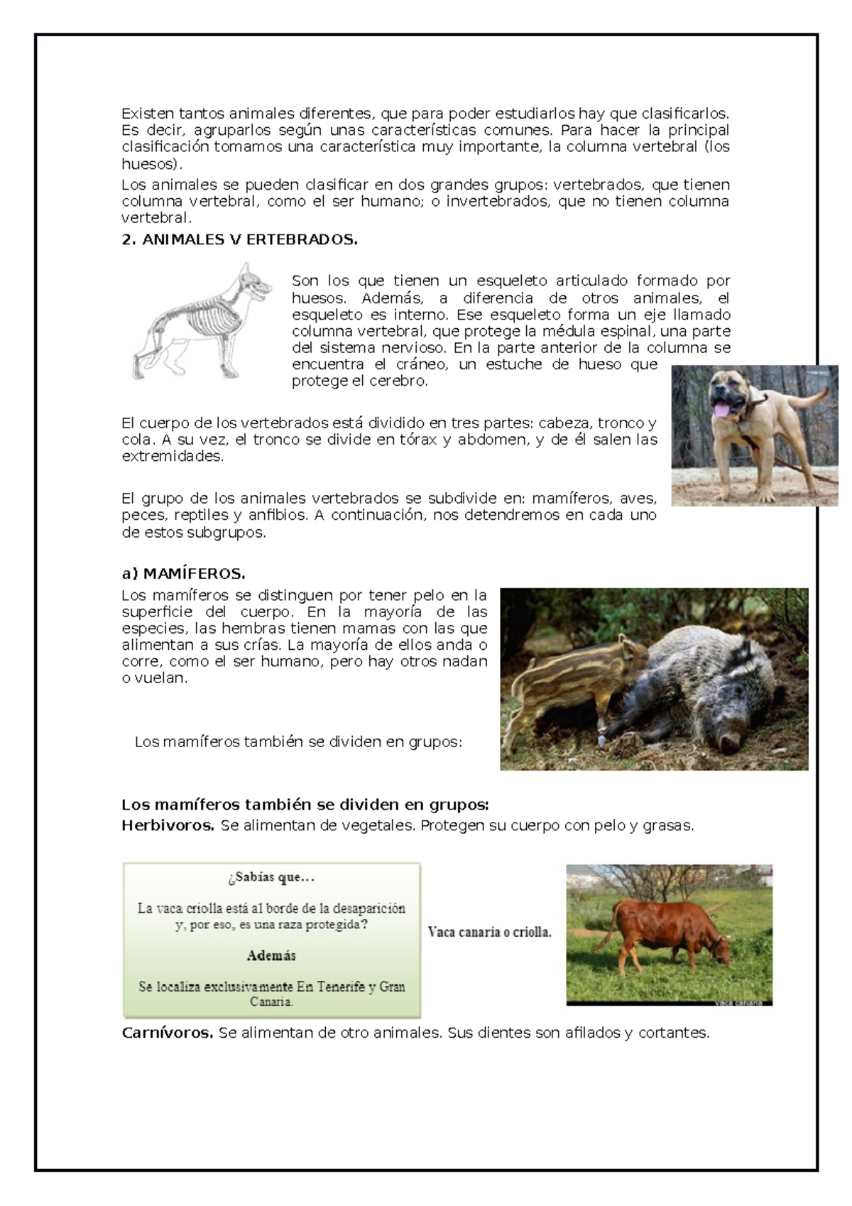 Existen tantos animales diferentes - Es decir, agruparlos según unas ...