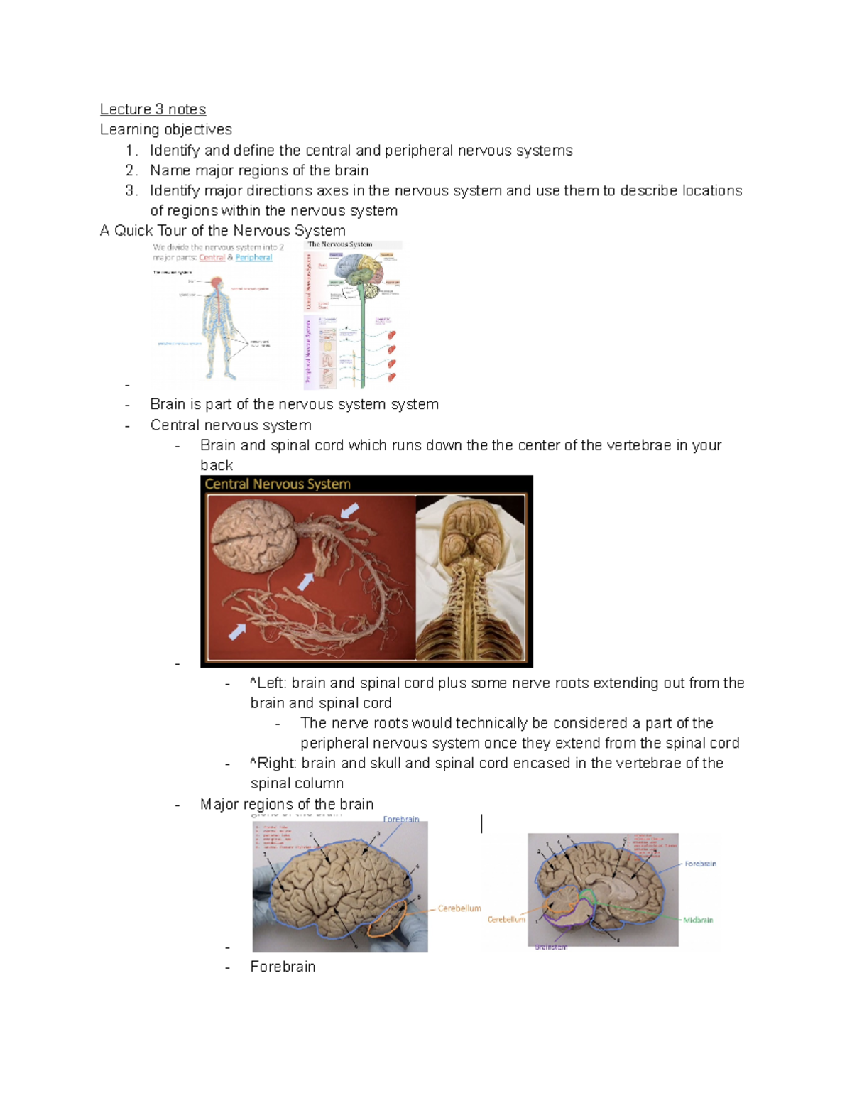 Module 1, Lecture 3 - Lecture 3 notes Learning objectives 1. Identify ...