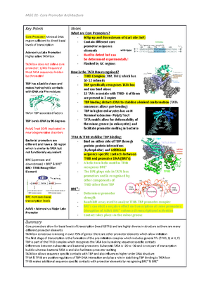Artificial Transcription Factors - Chemical Activation Domains ...