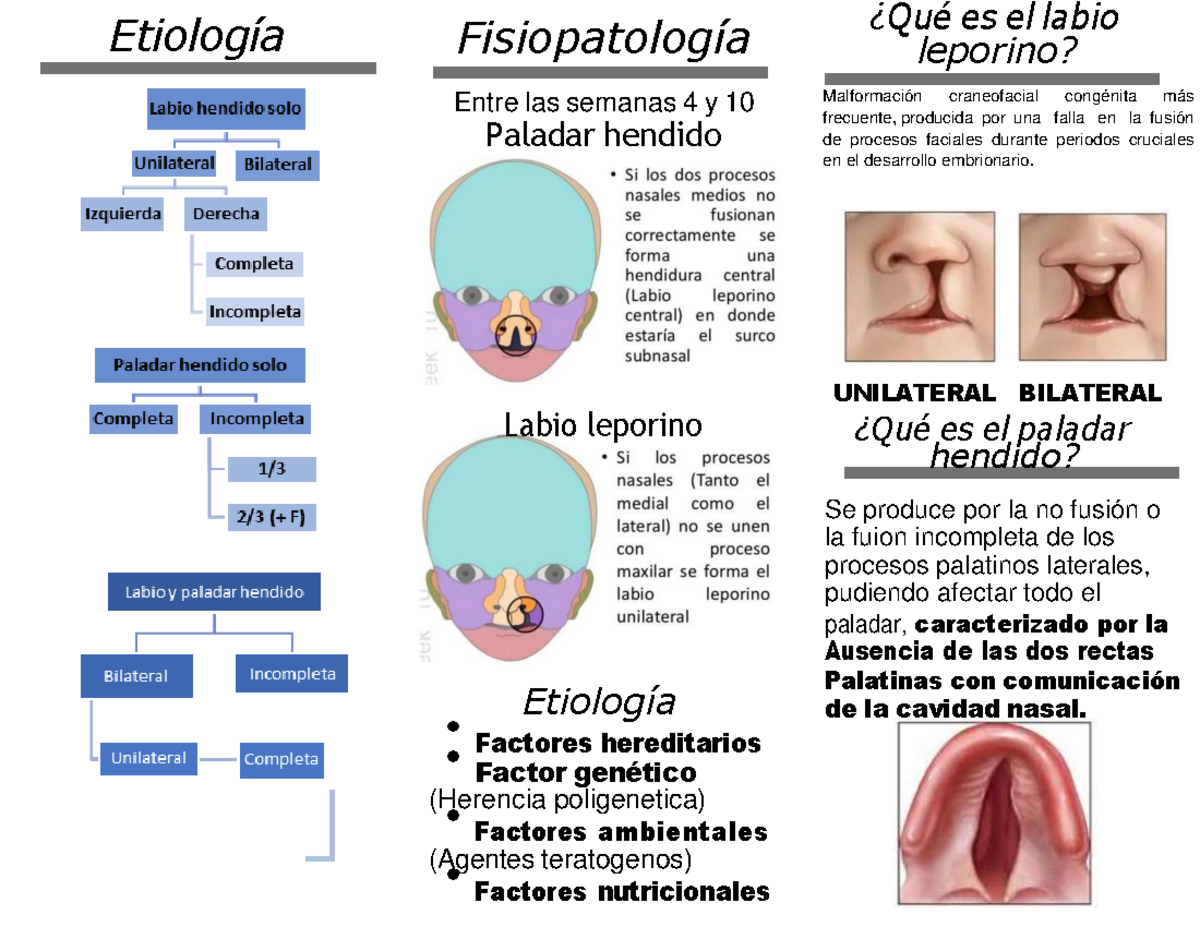Ramirez Rojas Johon Labio Leporino Y Paladar Hendido - leporino ...