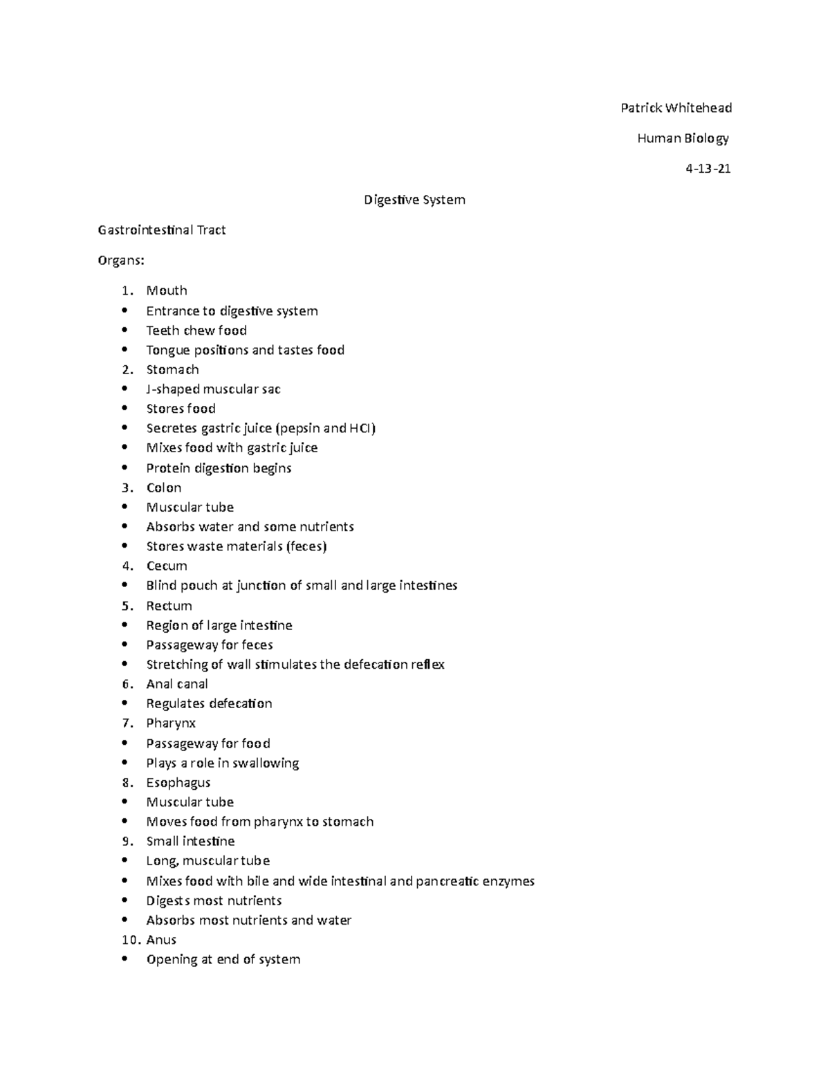 Digestive System - notes from a class at bethel university - Patrick ...