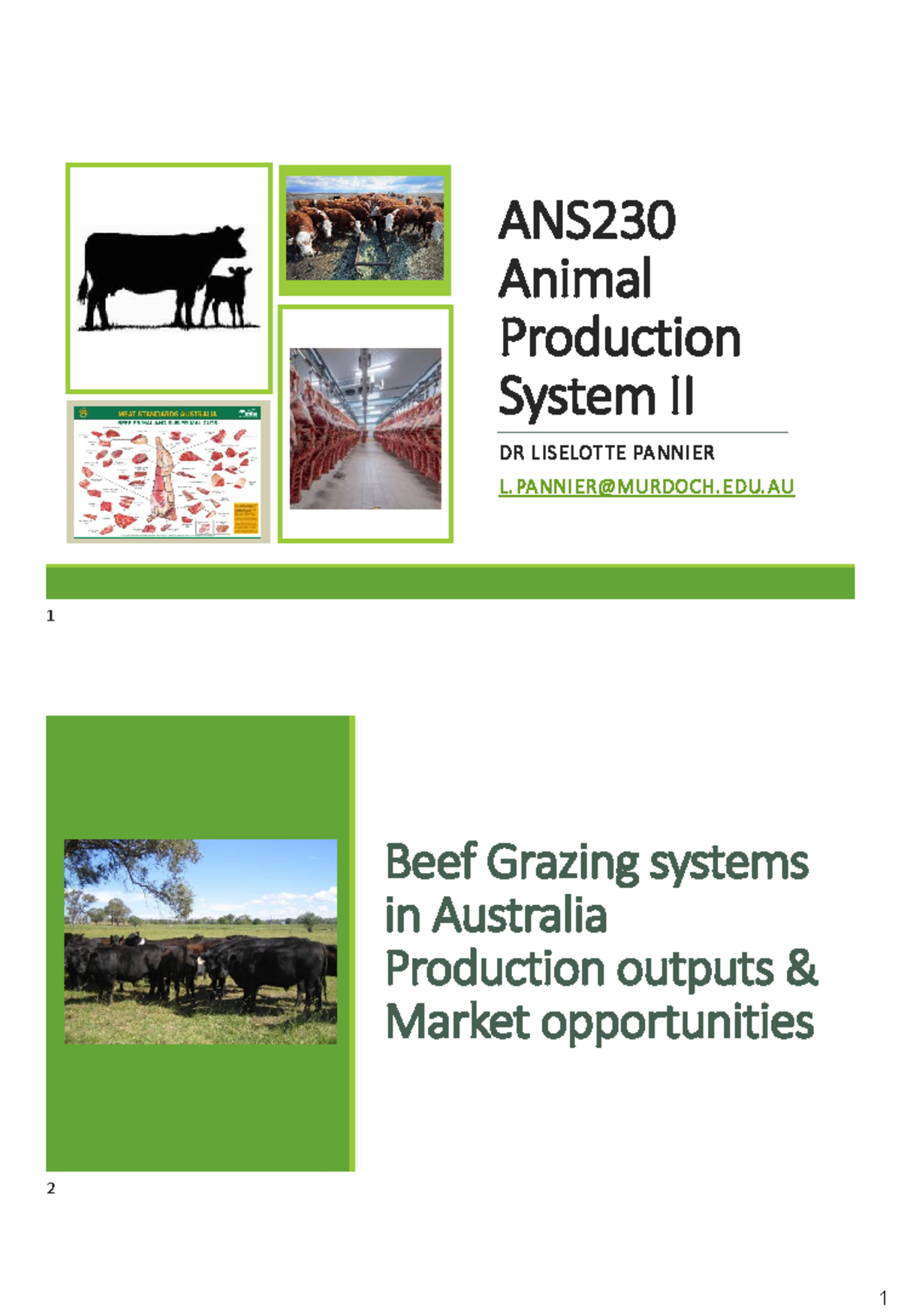 L2 Beef Grazing 2024 LPStudent - ANS Animal Production System II DR ...