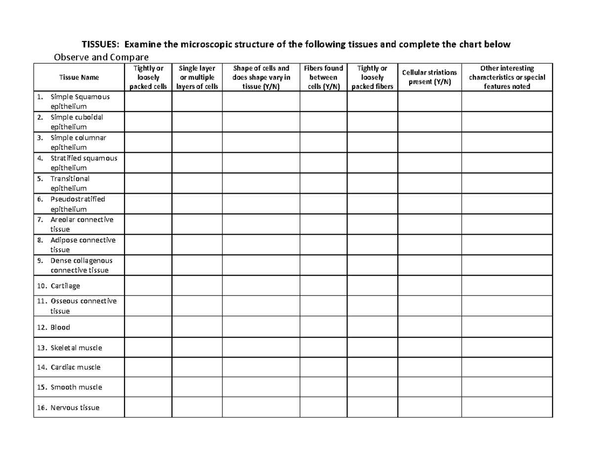 Tissue Lab report - Lab - TISSUES: Examine the microscopic structure of ...