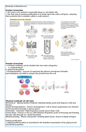 M2 Vascular AND Platelet System - BS Medical Laboratory Science ...
