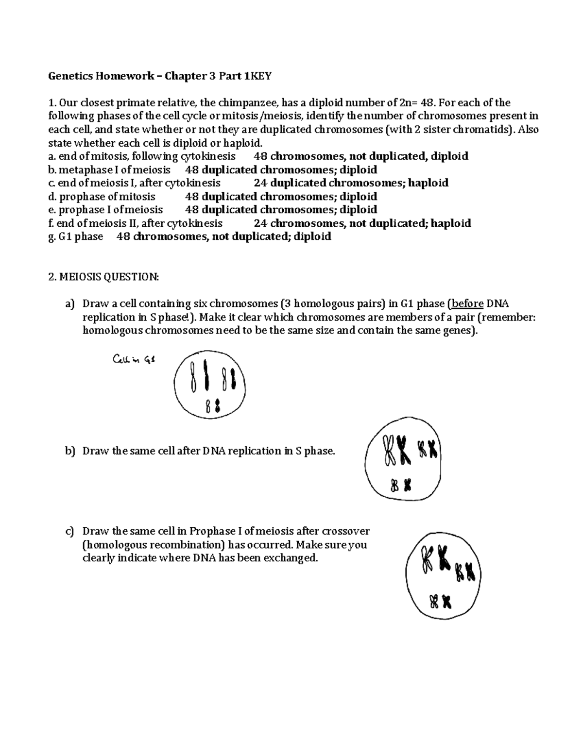 Genetics Homework - Chapter 3 Part 1 KEY - Genetics Homework – Chapter ...