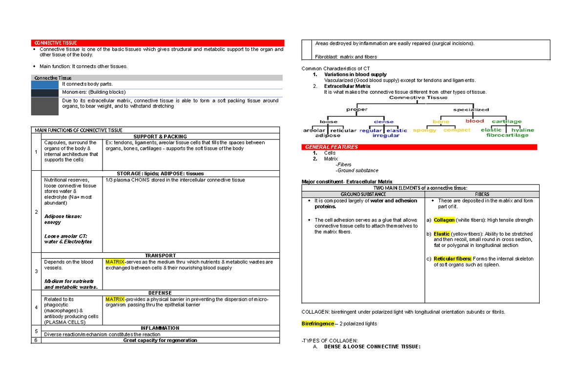 PPT 3 landscape long - .................... - CONNECTIVE TISSUE ...
