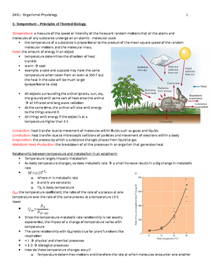 Principles of Gas Exchange - Principles of Gas Exchange Respiration and ...