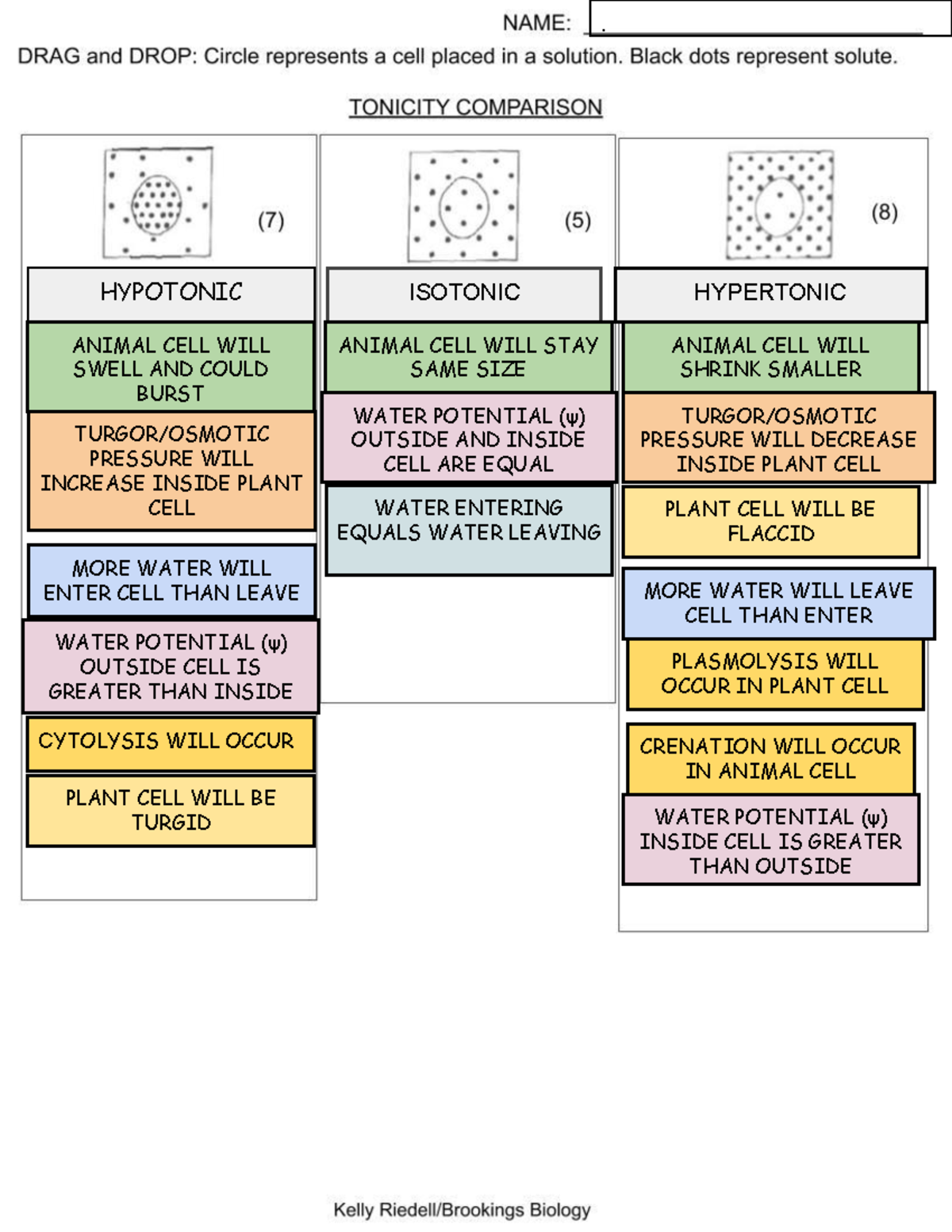 Copy of Tonicity Comparison Drag and Drop copy by Kelly Riedell Nov2020 ...
