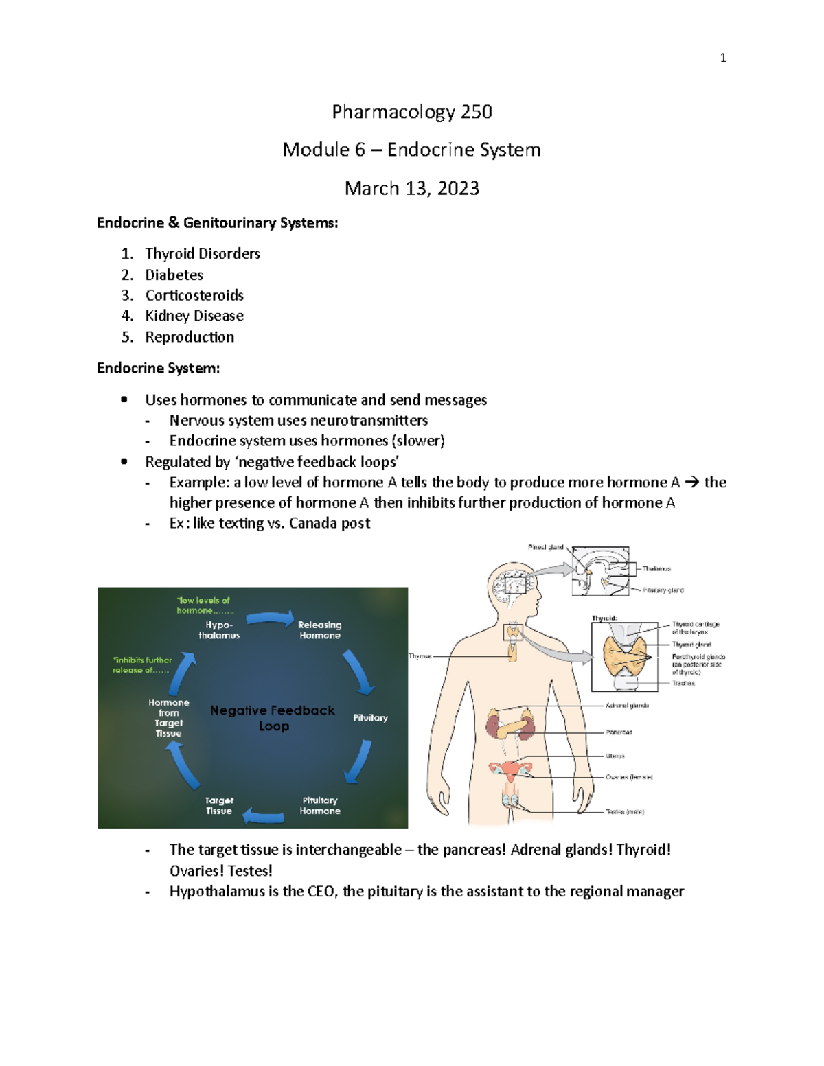 Pharmacology 250 - Mod 6 - Pharmacology 250 Module 6 – Endocrine System ...