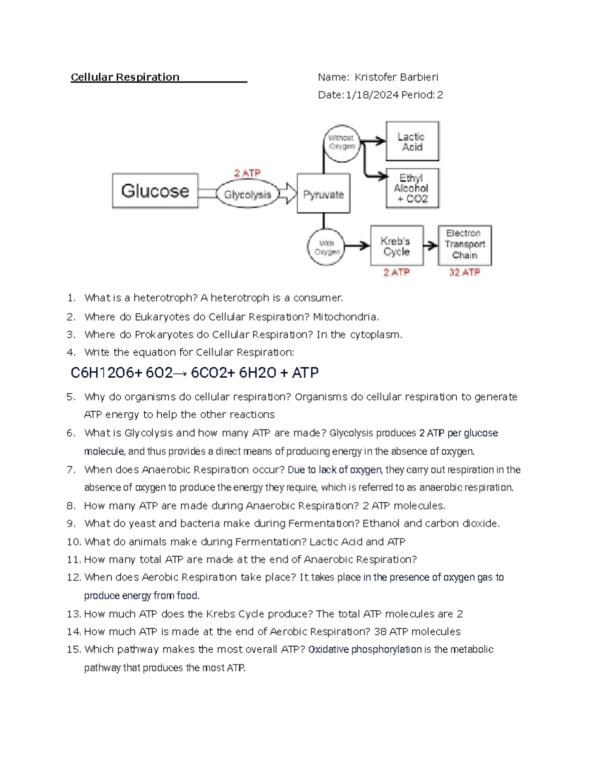 Copy of Cellular Respiration notes wkst - Cellular Respiration Name ...