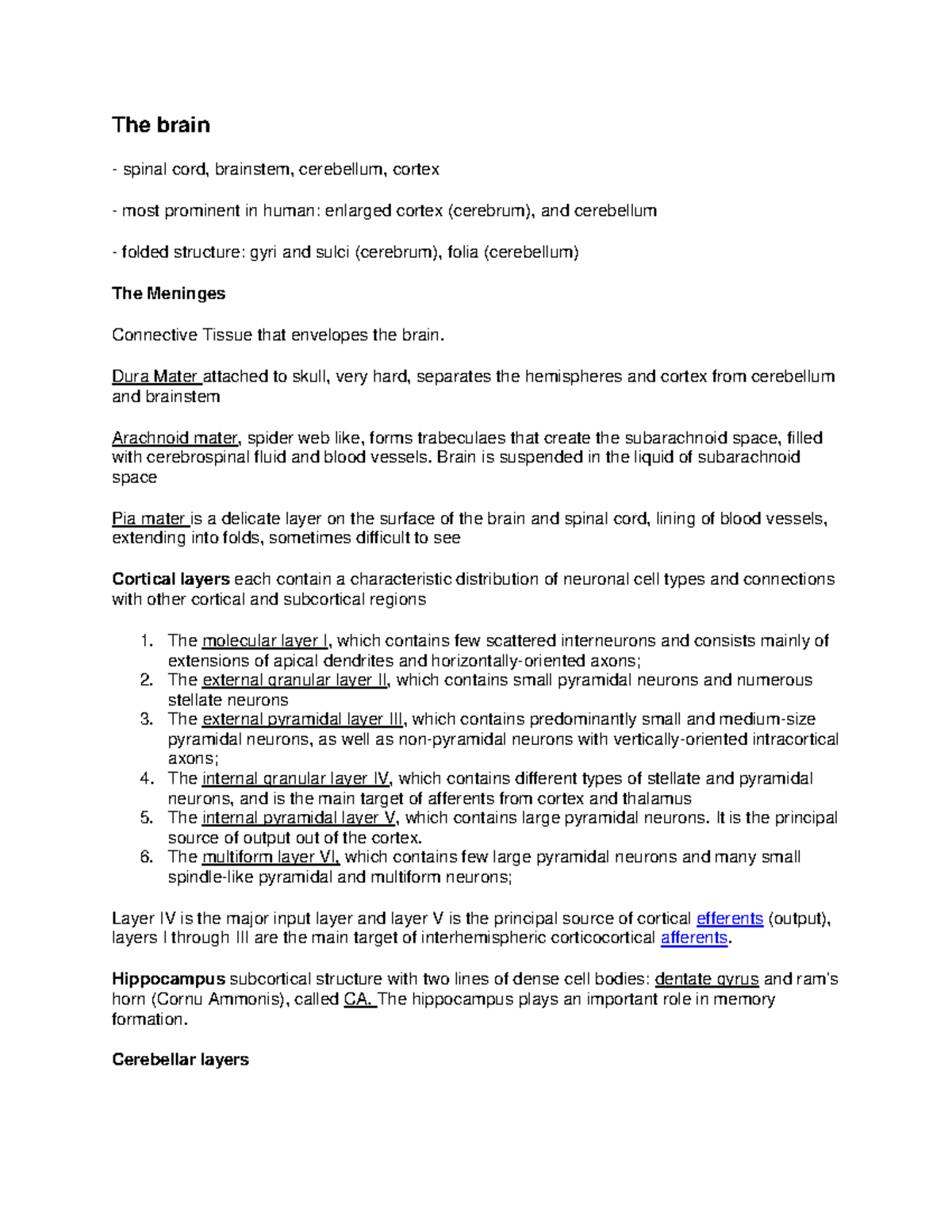 Nervous system - brain notes - The brain spinal cord, brainstem ...