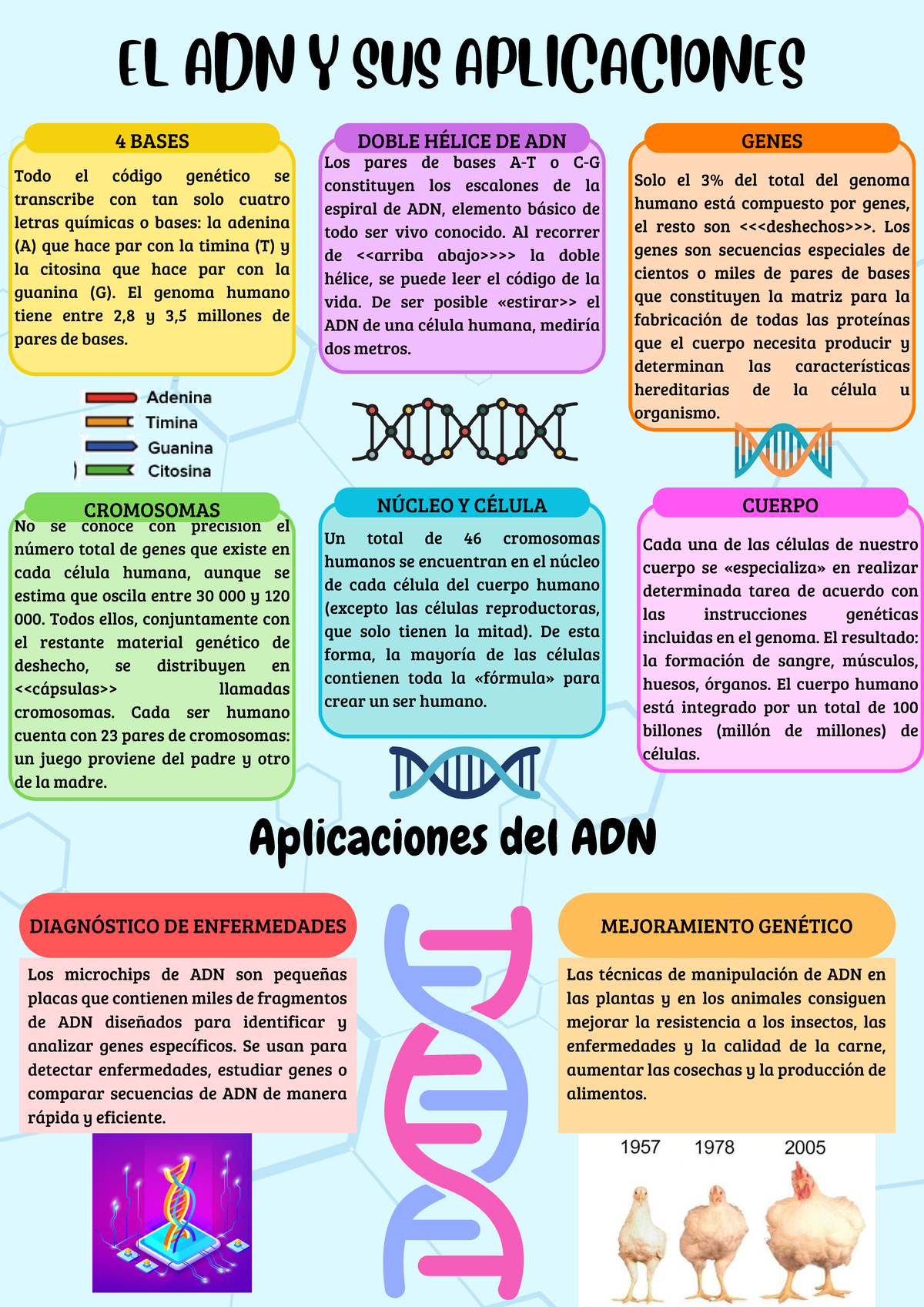 EL ADN Y SUS Aplicaciones - Todo el código genético se transcribe con ...