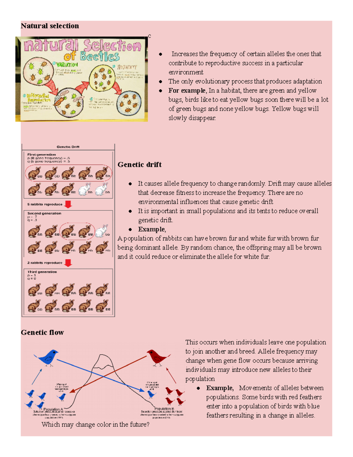 Bio review - Lecture notes 10 - Natural selection c Increases the ...