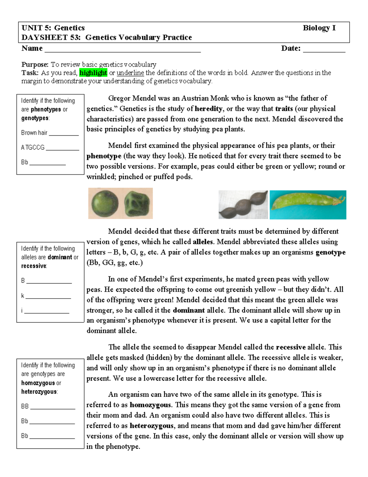 Genetics - Answer the questions in the margin to demonstrate your ...