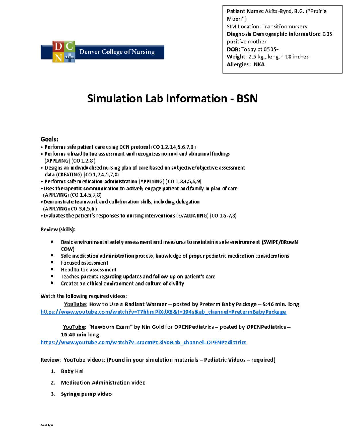 Med Log Baby Akita Byrd - Med log - Simulation Lab Information - BSN ...
