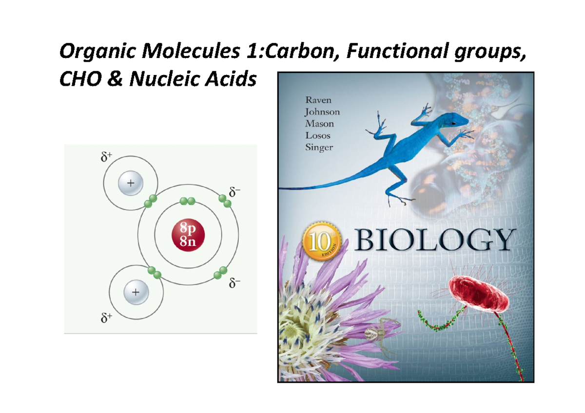 2018 Organic Compounds lecture 2 for first year mlb - Organic Molecules ...