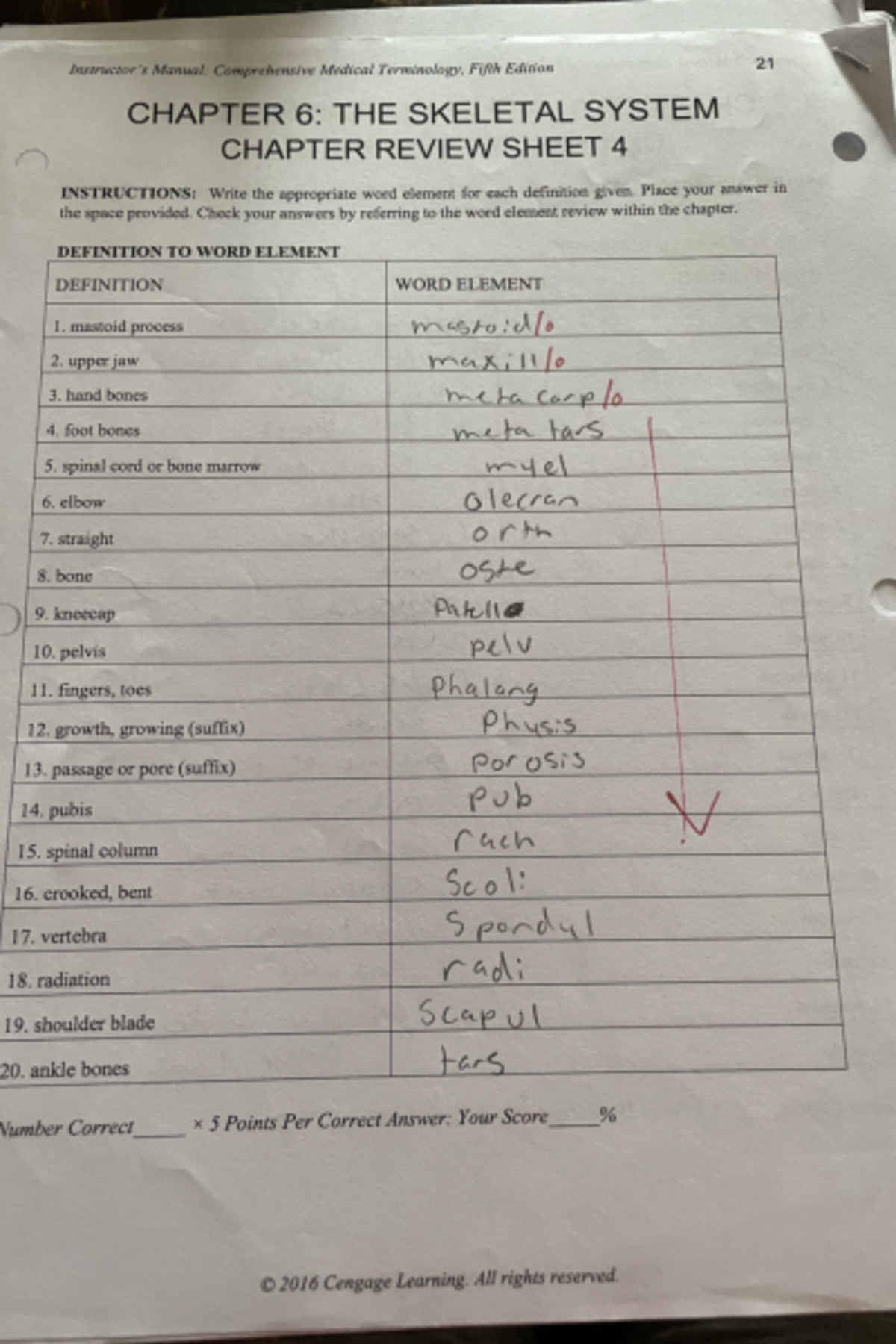 Chapter 6.4 sheet - Manual: Comprehensive Medical Terminology, Fifth ...