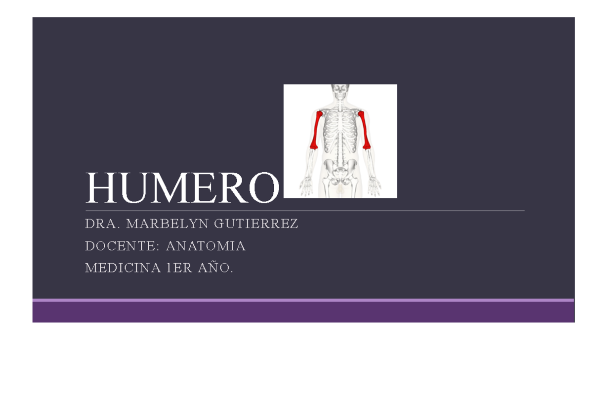 Humero - para estudiar - HUMERO DRA. MARBELYN GUTIERREZ DOCENTE ...