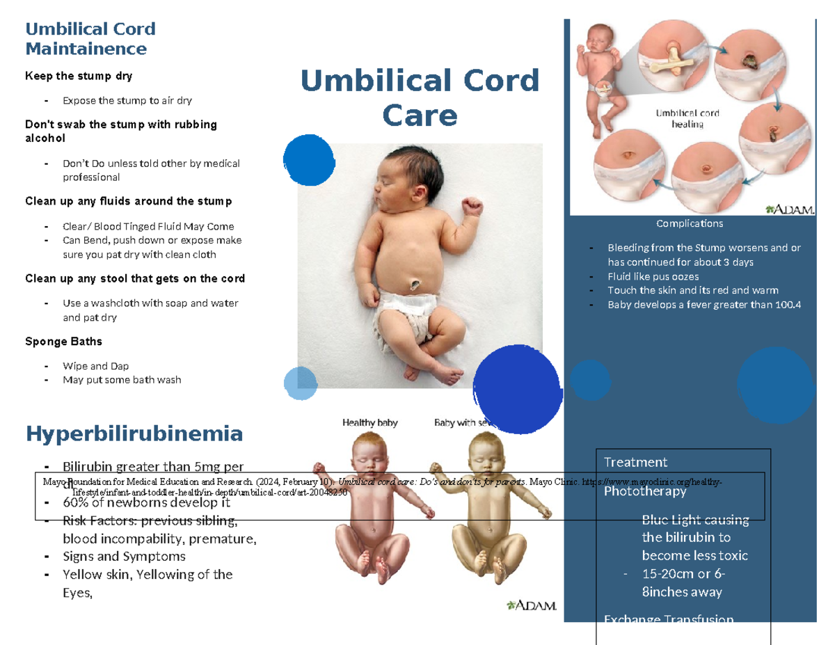 teaching project about umbilical cord & and hyperbili - Umbilical Cord ...