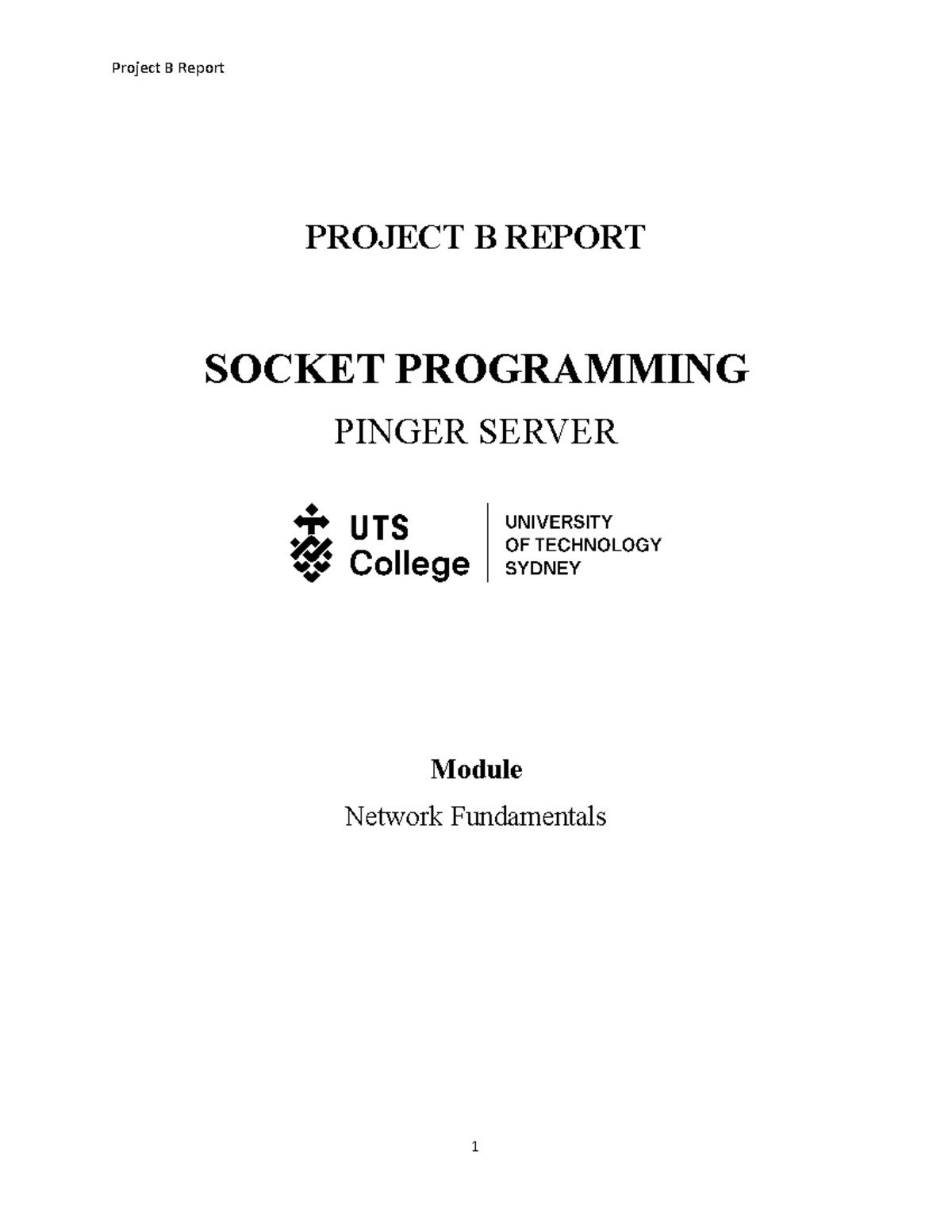 Network Fundementals Project B Report - PROJECT B REPORT SOCKET PROGRAMMING PINGER SERVER Module ...