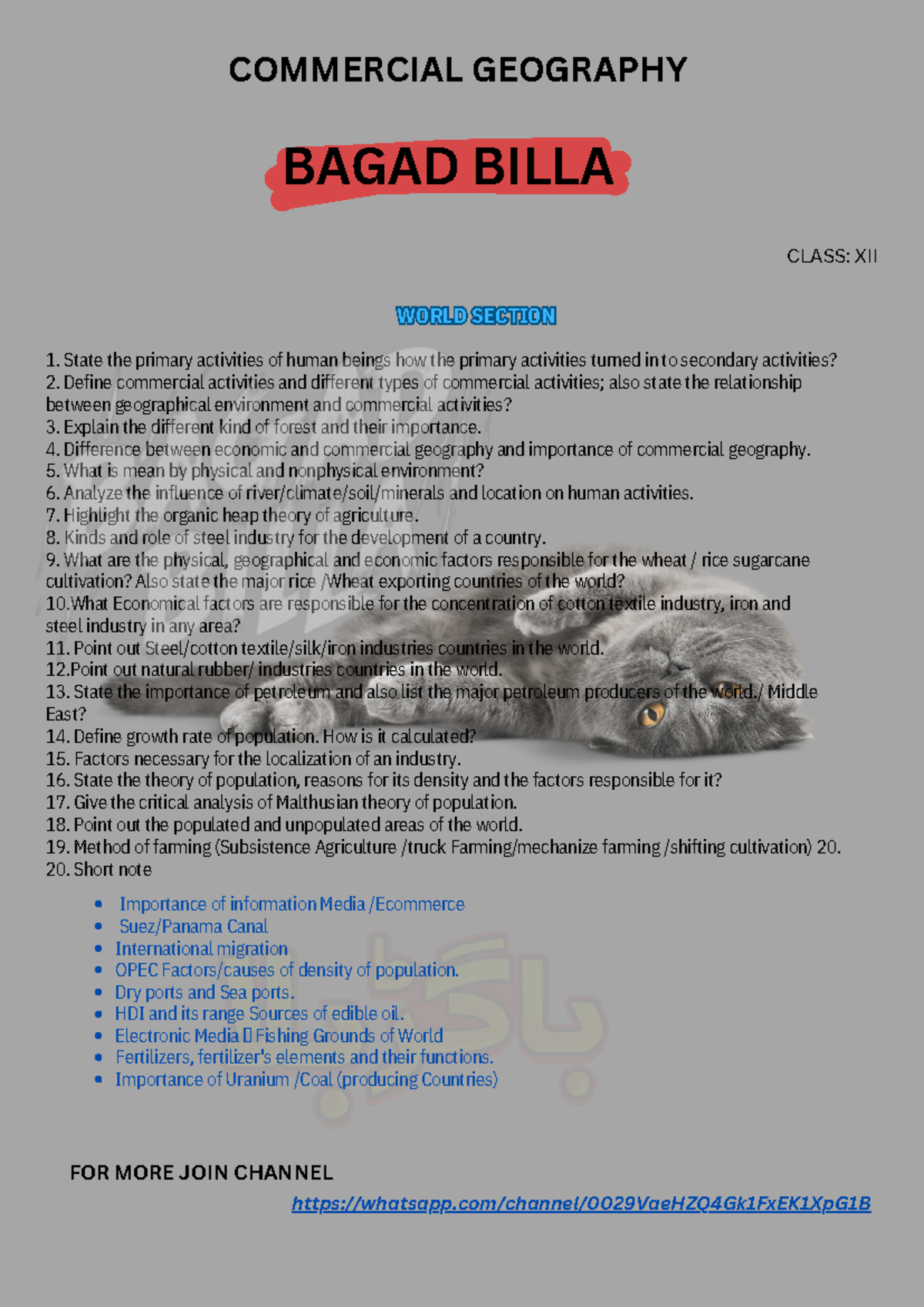 XII - CG ( Commercial Geography) 2024 BY ( Bagad Billa) - Importance of ...