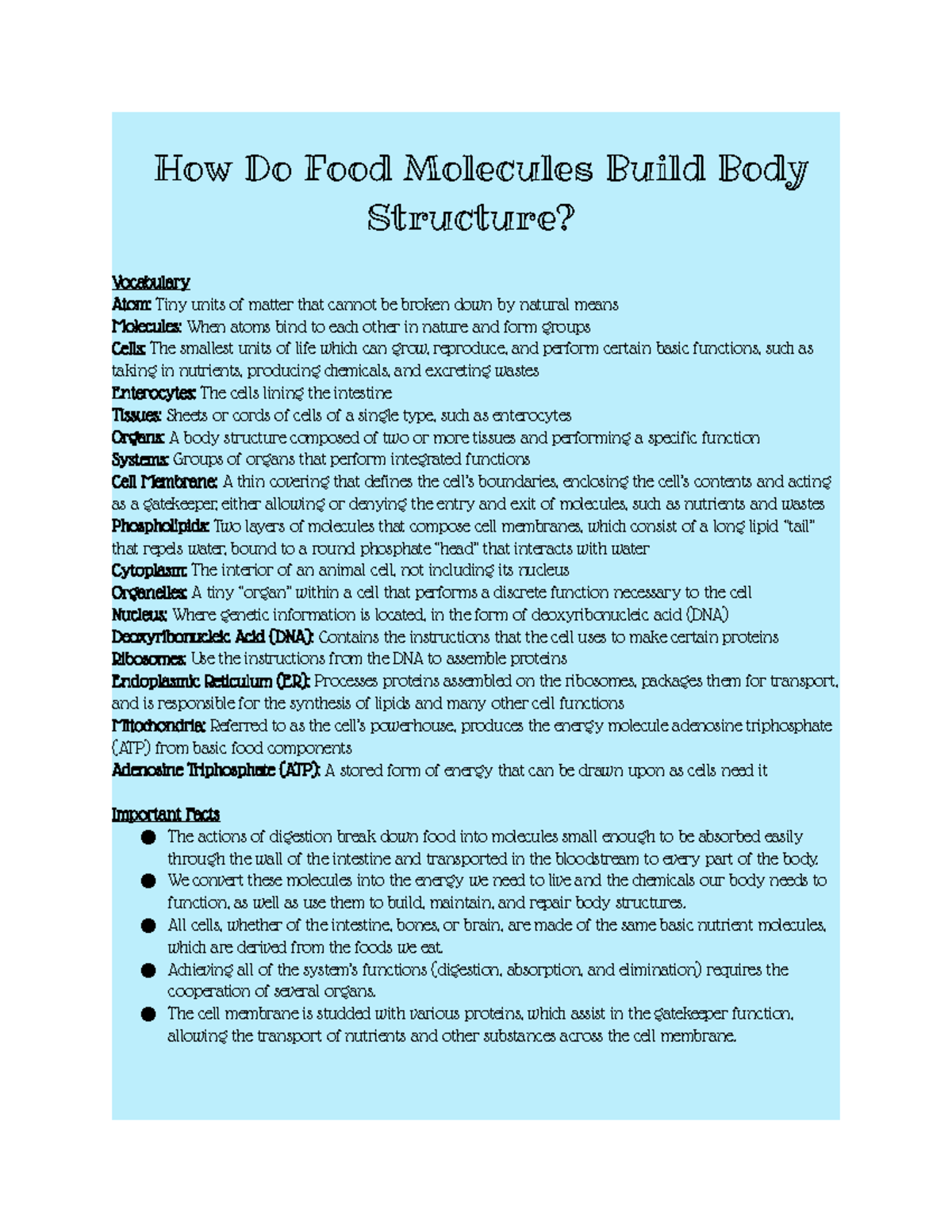 Ch. 3.1 Notes - How Do Food Molecules Build Body Structure? Vocabulary ...