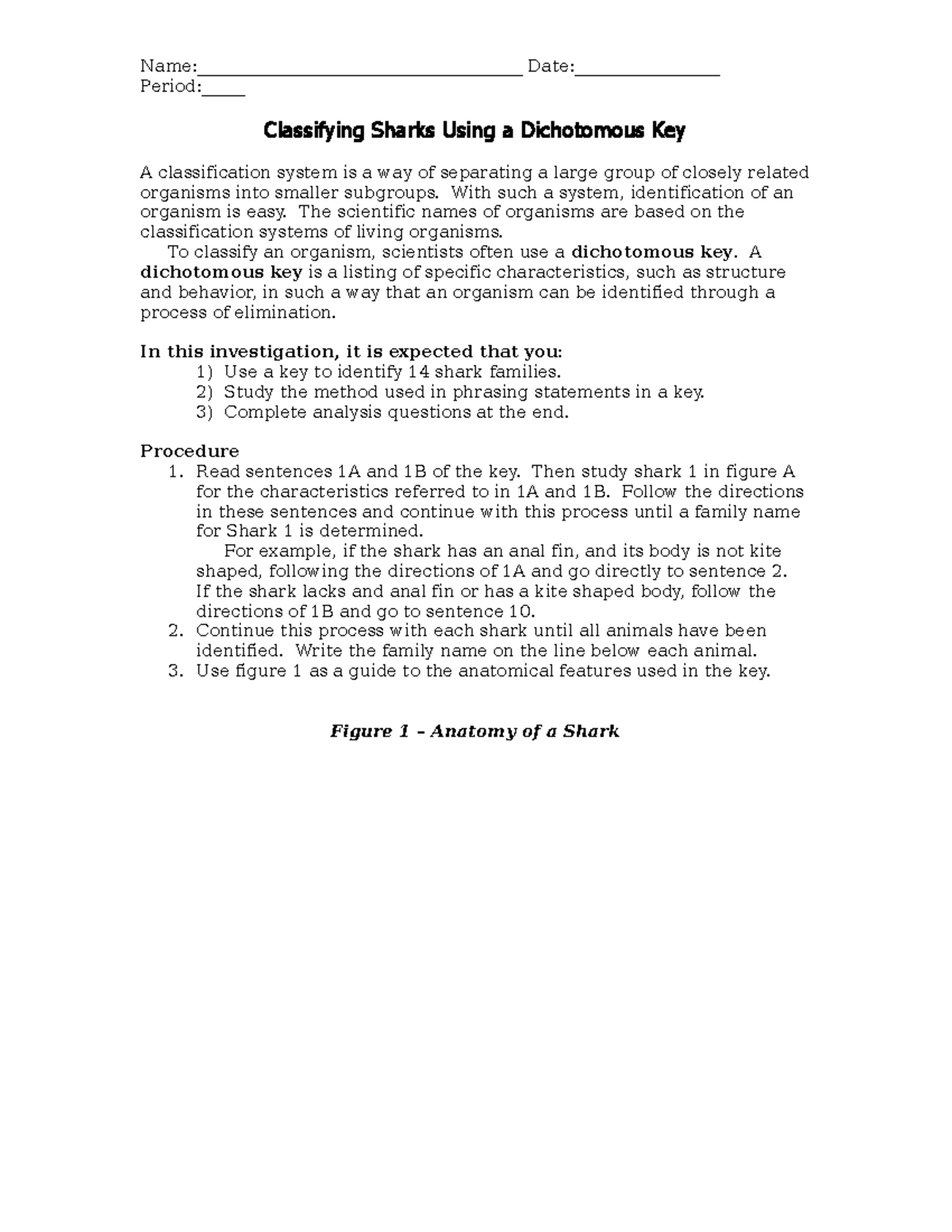00-Di Key Sharks 2019 - Good key - Period:_____ Classifying Sharks ...
