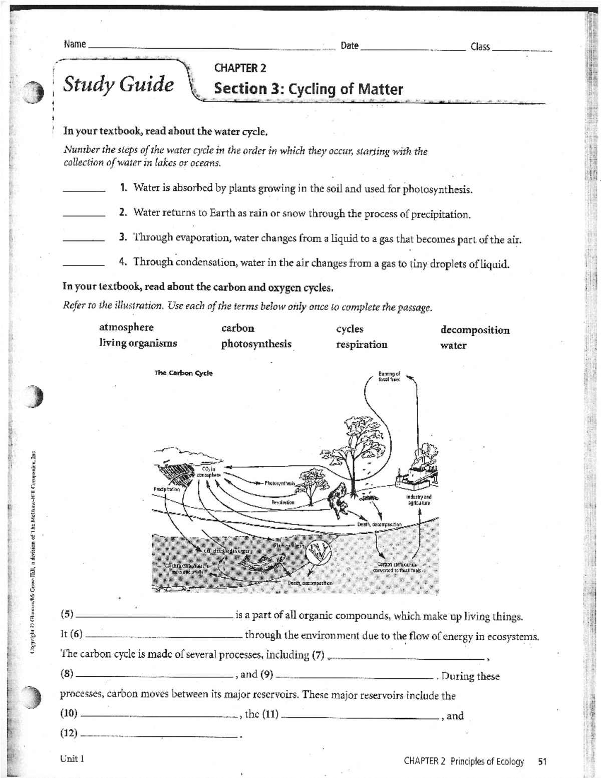 Cycling of matter study guide - Name Date Class CHAPTER 2 Study Guide ...