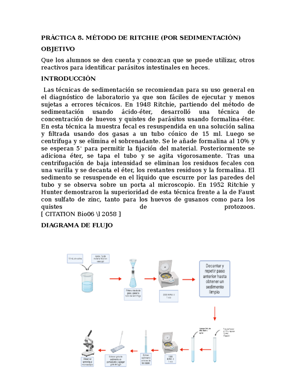 Práctica 8 parasito - PRÁCTICA 8. MÉTODO DE RITCHIE (POR SEDIMENTACIÓN ...