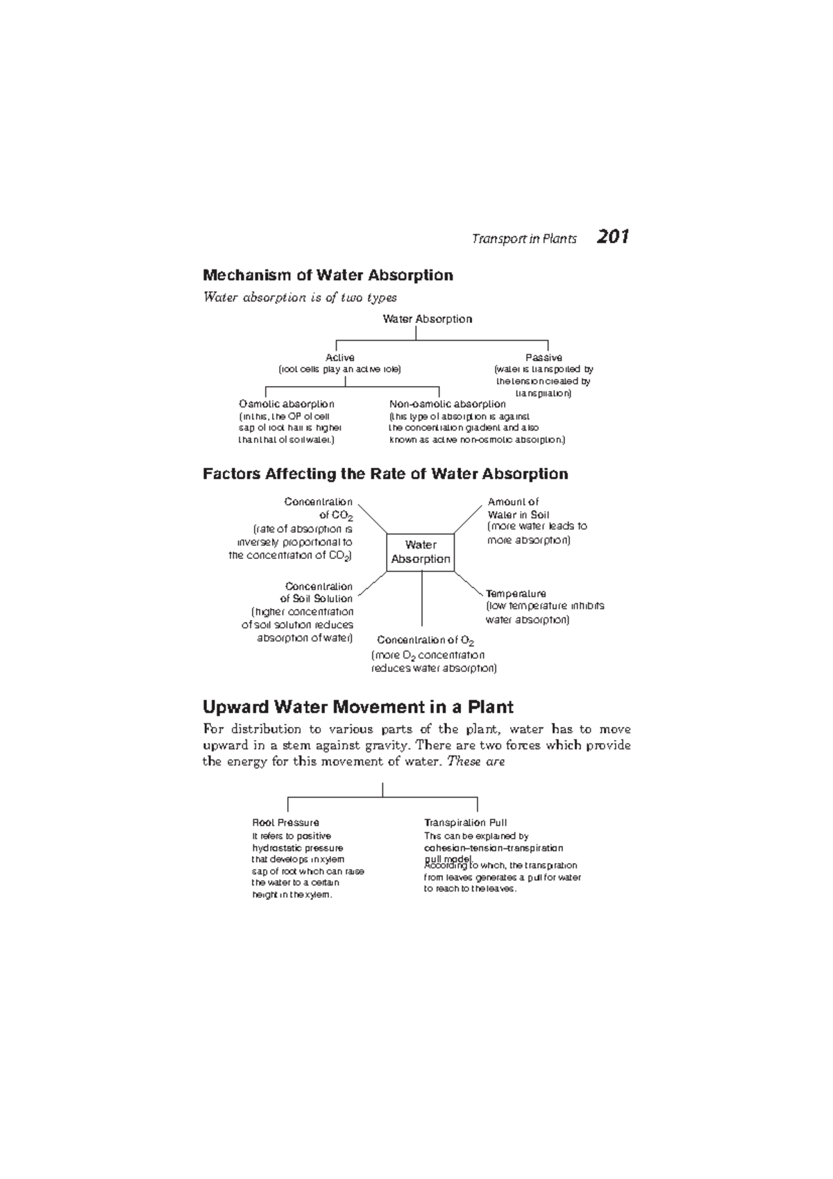 Mechanism of Water Absorption - There are two forces which provide the ...