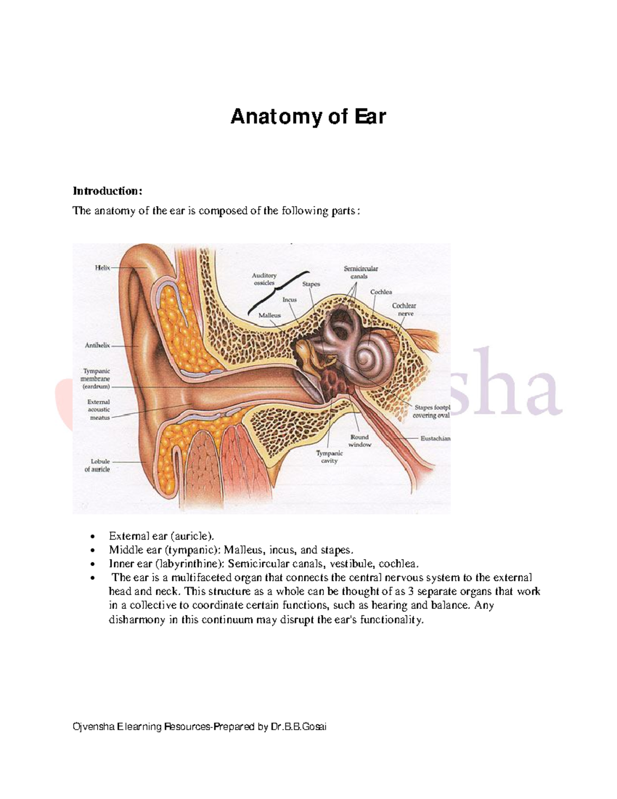 Ear for MPDC Students - Good 😊 - Anatomy of Ear Introduction: The ...
