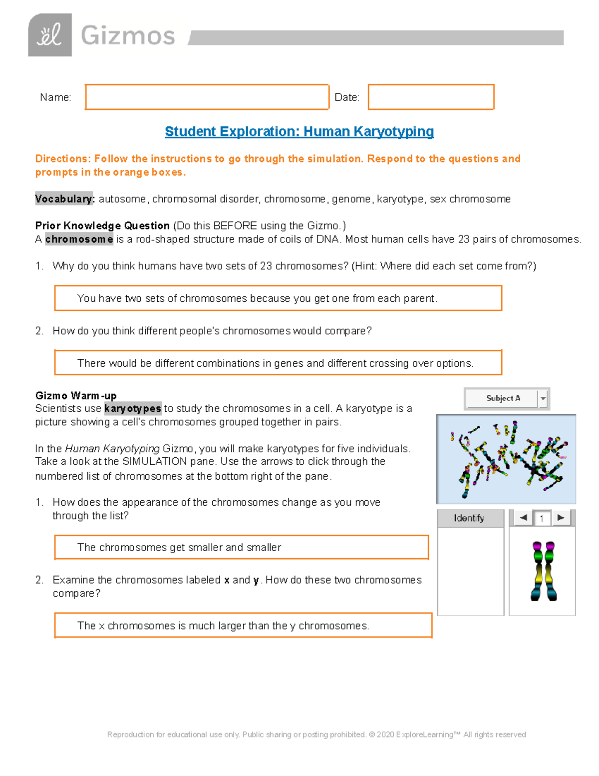 Gizmo- Human Karyotyping SE - Name: Date: Student Exploration: Human ...