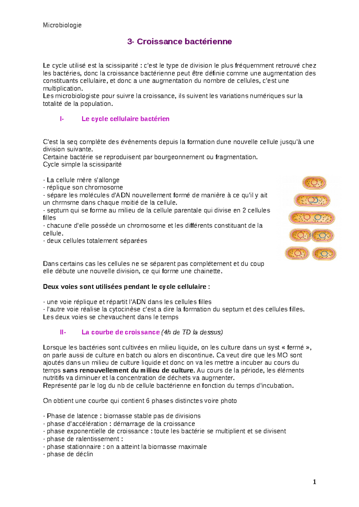 3-Croissance-bactérienne-pdf - 3- Croissance bactérienne Le cycle ...