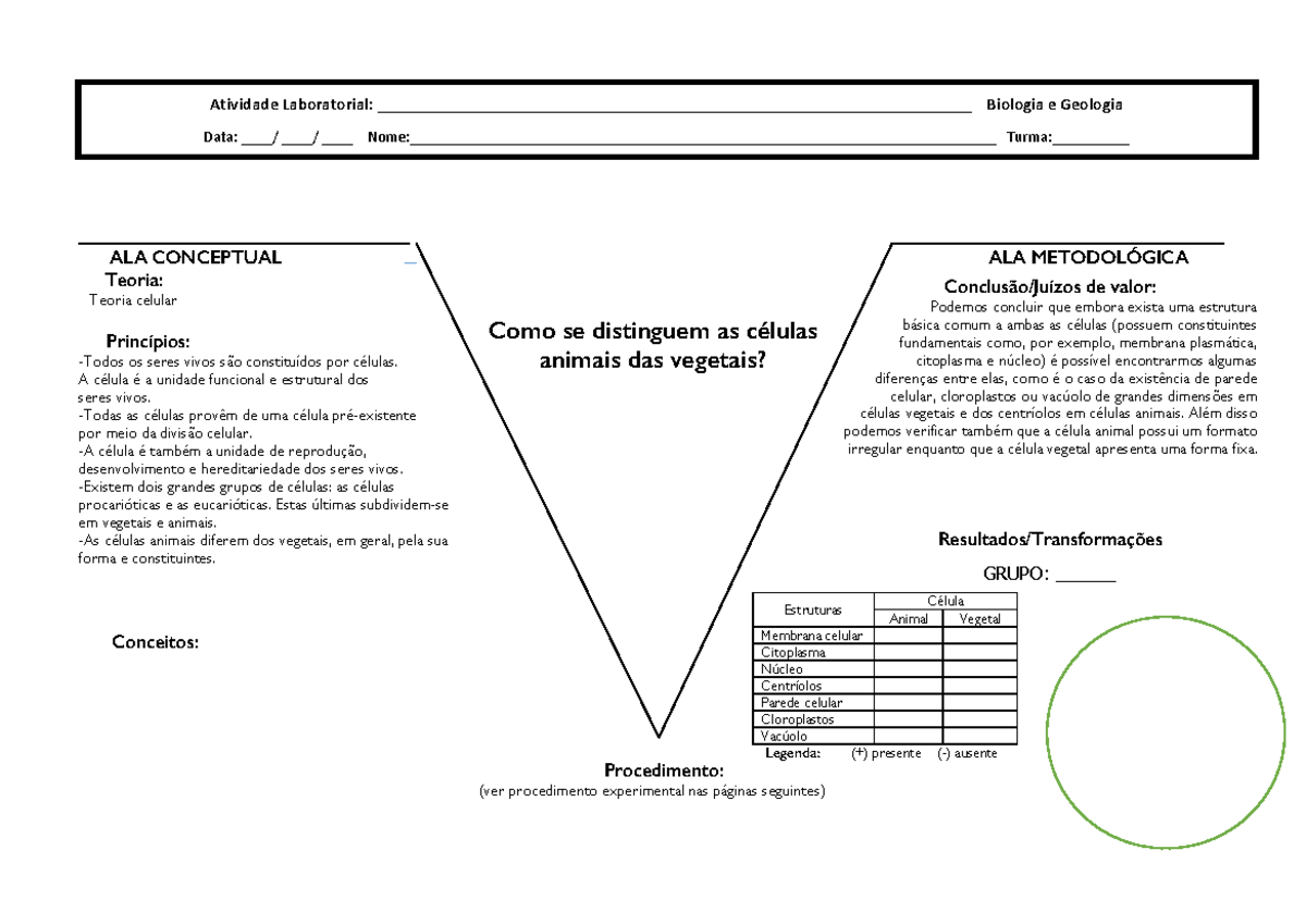 1 - VGowin Células-A V - V de gowin sobre observação de células com os ...