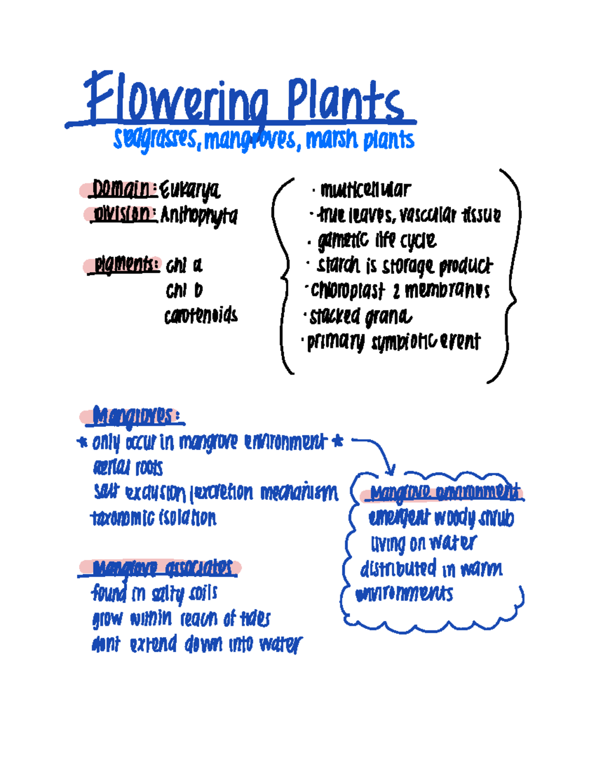 Flowering Plants 2 - Lecture notes 11 - BIOS-3590 - Studocu