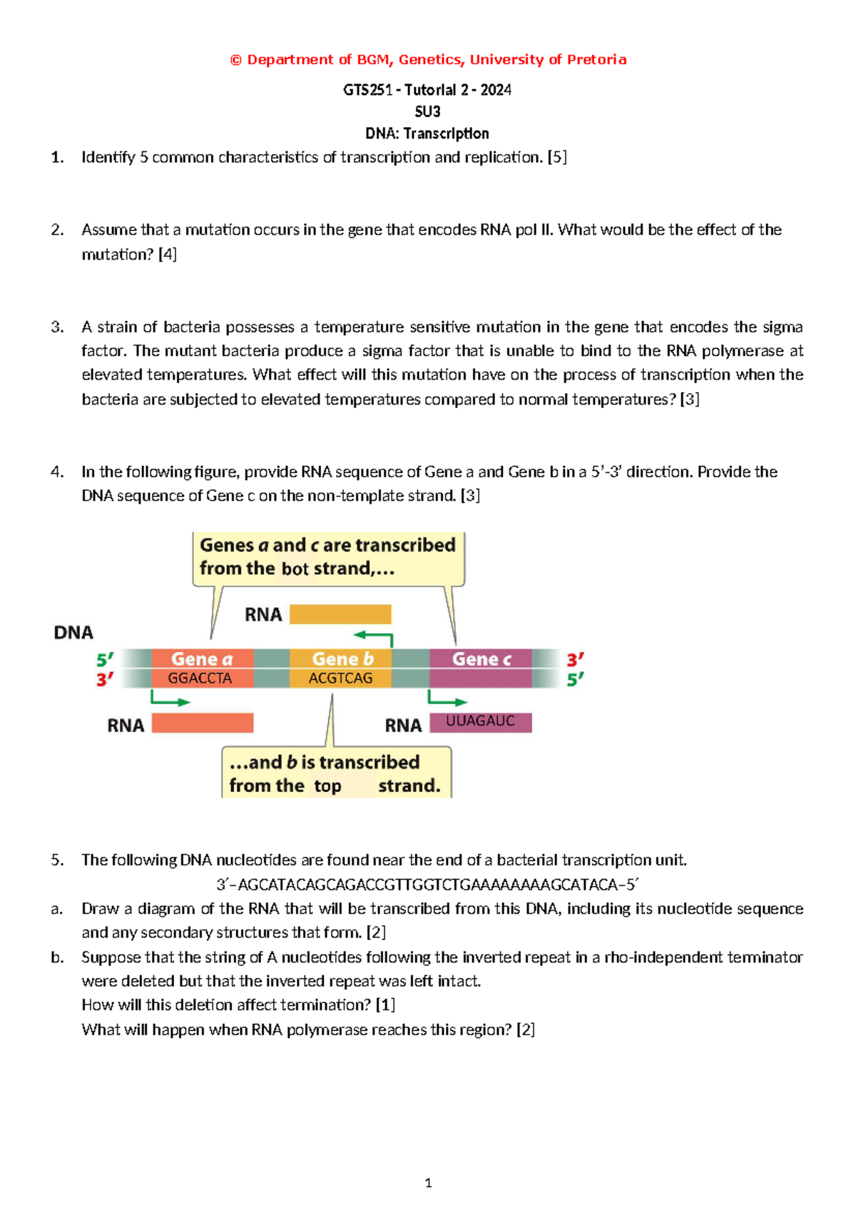 GTS 251 Tutorial 2 SU 3 2024 - © Department of BGM, Genetics ...