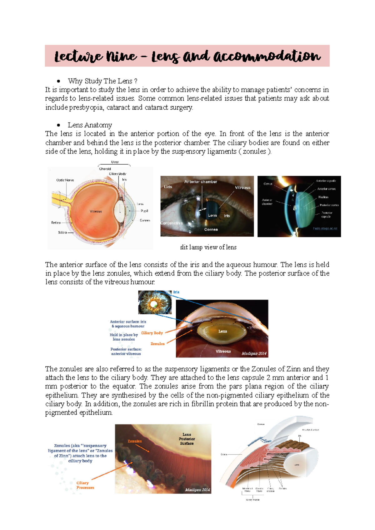 Lecture 9 - Lens - Lecture Nine – Lens And Accommodation Why Study The ...