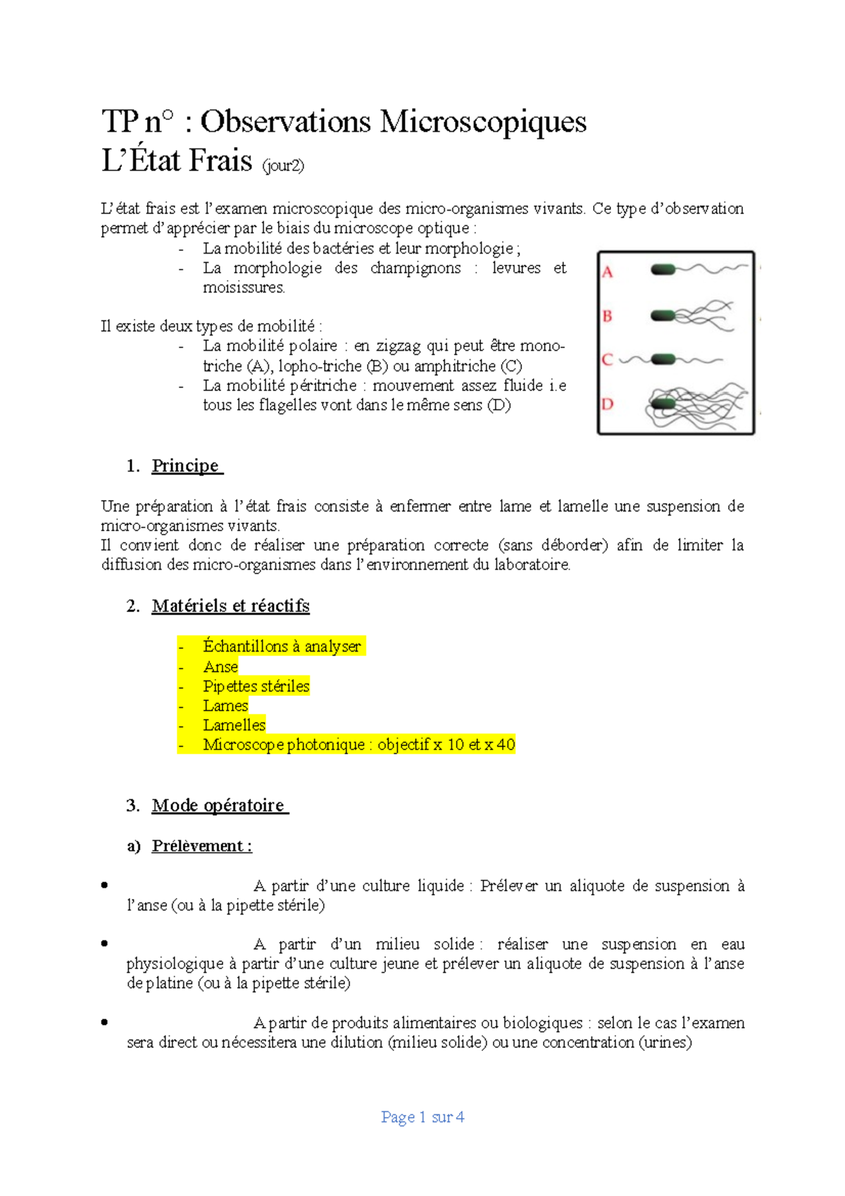 Ubio BP - TP n Microscopie - Etat frais - TP n° : Observations ...