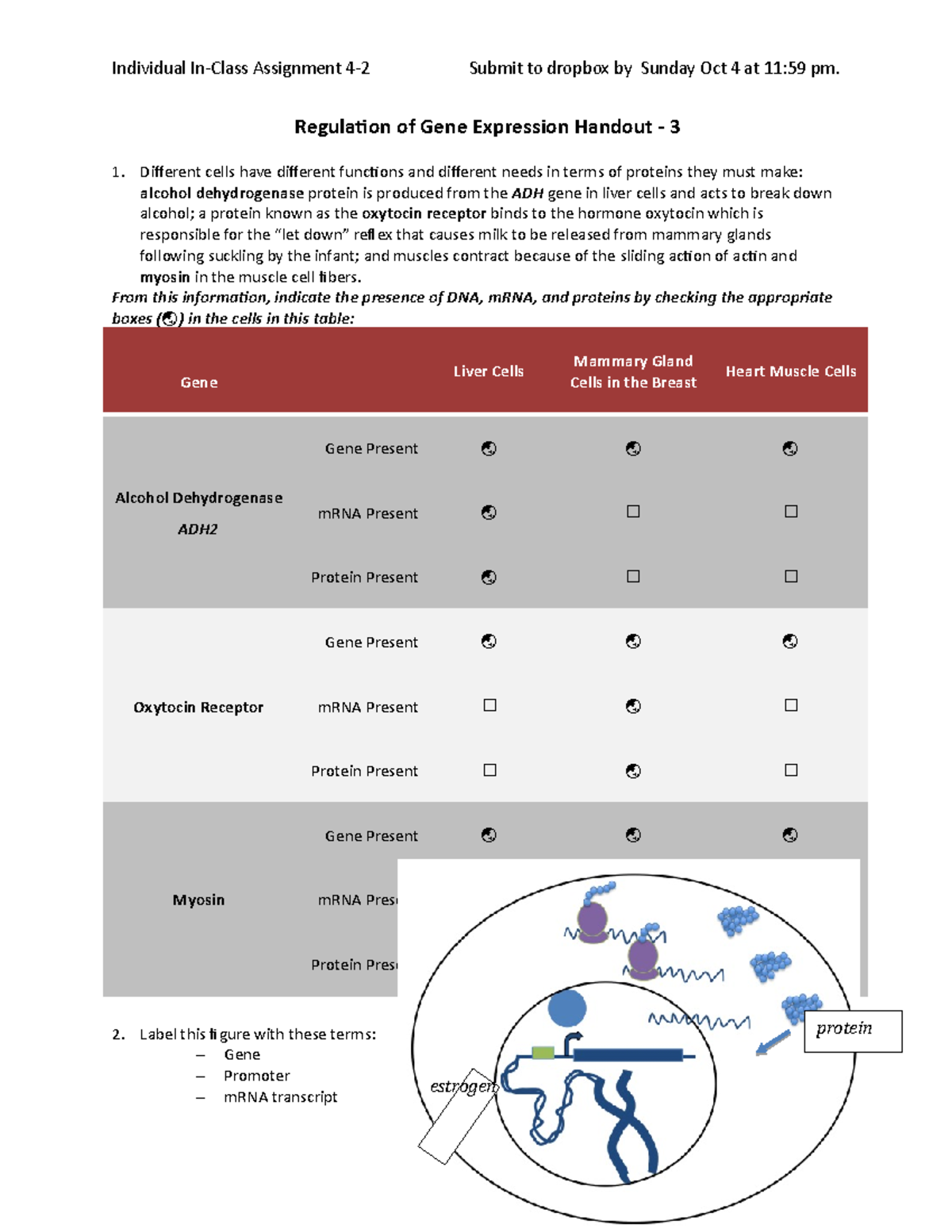 Assign 4-2- biol 1103 - Individual In-Class Assignment 4-2 Submit to ...