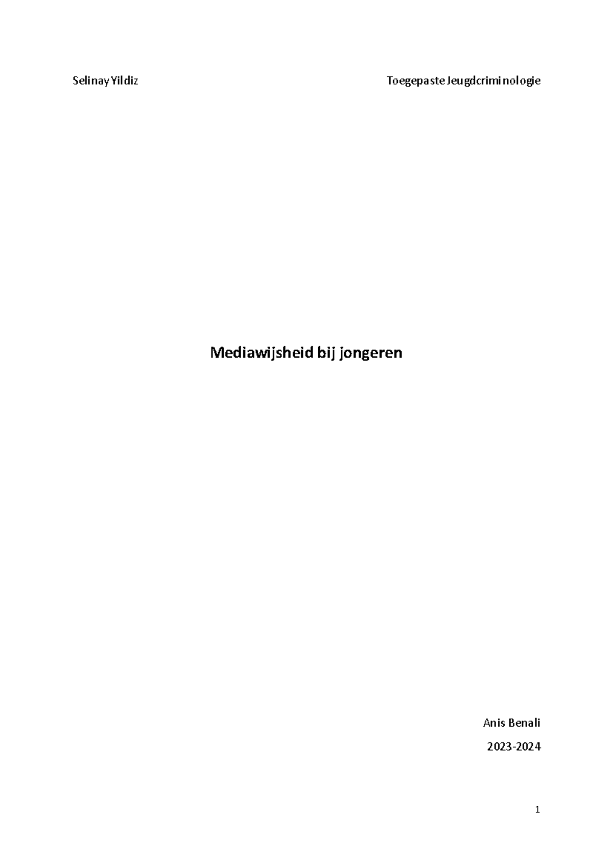 Individuele paper Grootstedelijke uitdagingen - Selinay Yildiz ... Individuele paper Grootstedelijke uitdagingen - Selinay Yildiz ...
