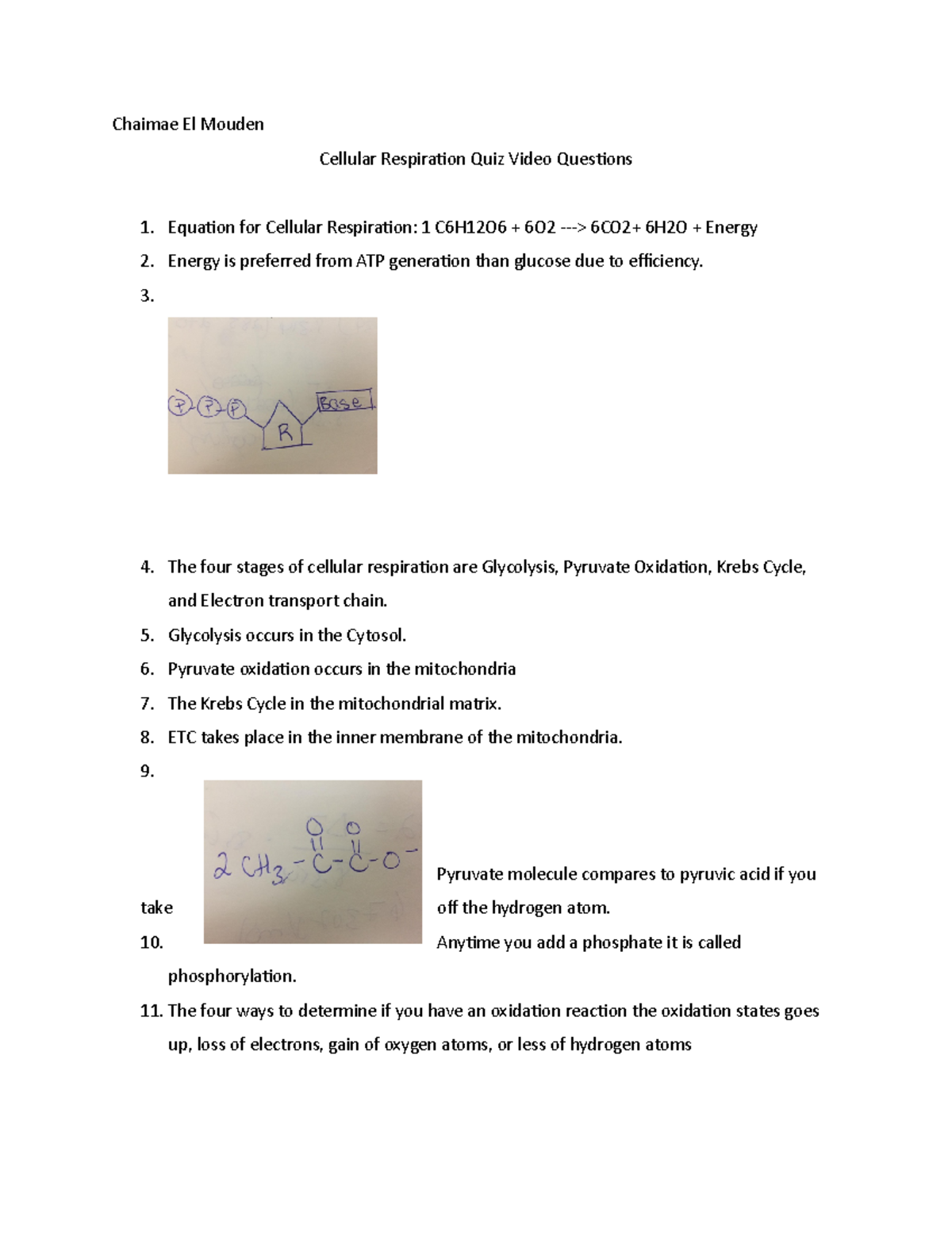 Quiz chapter 9 - Cellular respiration Q's from video - Chaimae El ...