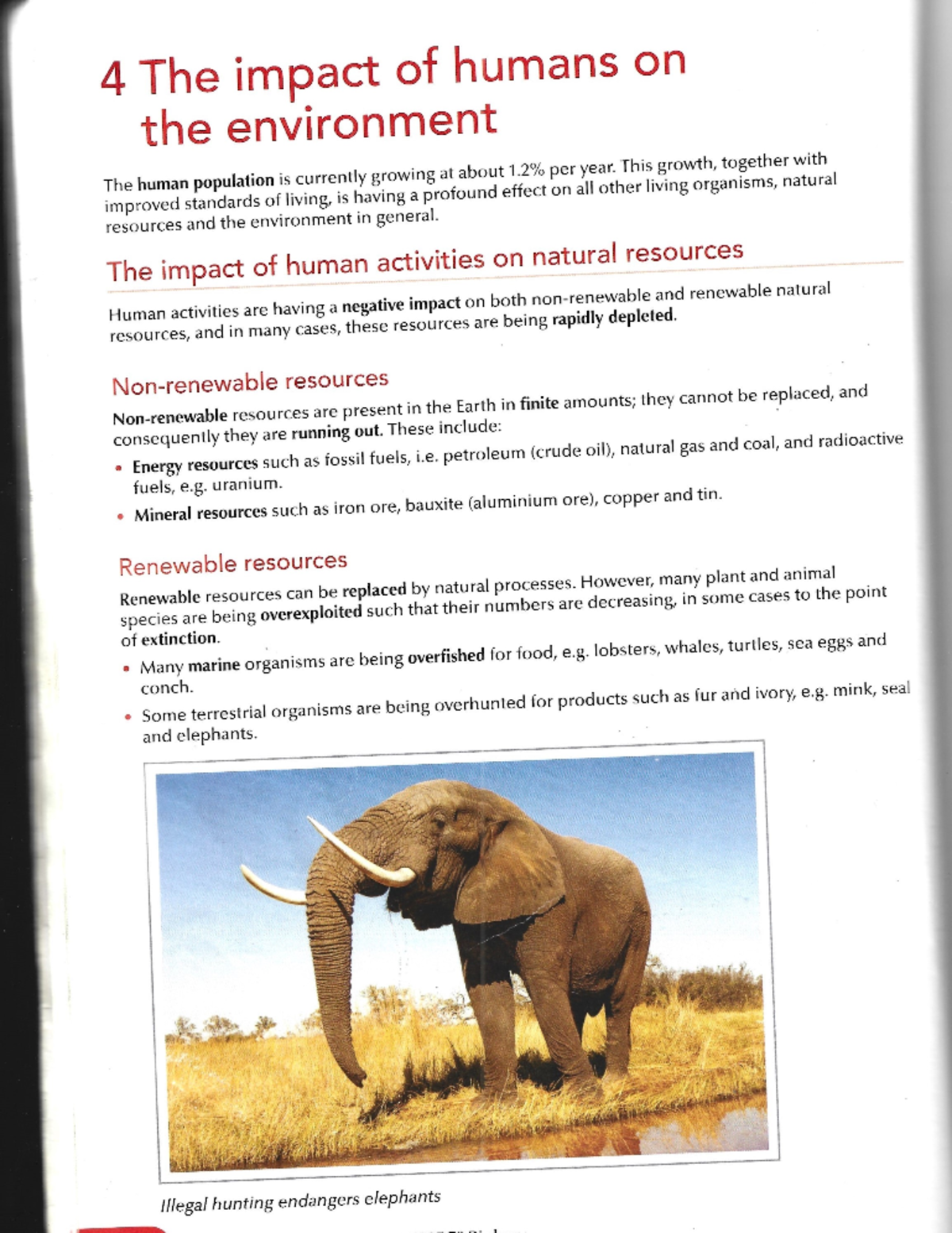 Effects of Human Activity on the Environment - 4 The impact of humans ...