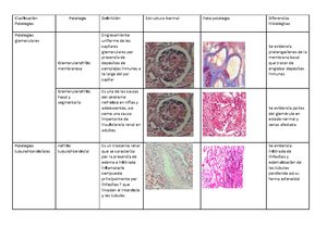 TEJIDOS EPITELIALES - Clase RONAL TIPO DE CELULA SEGÚN EL CICLO CELULAR ...