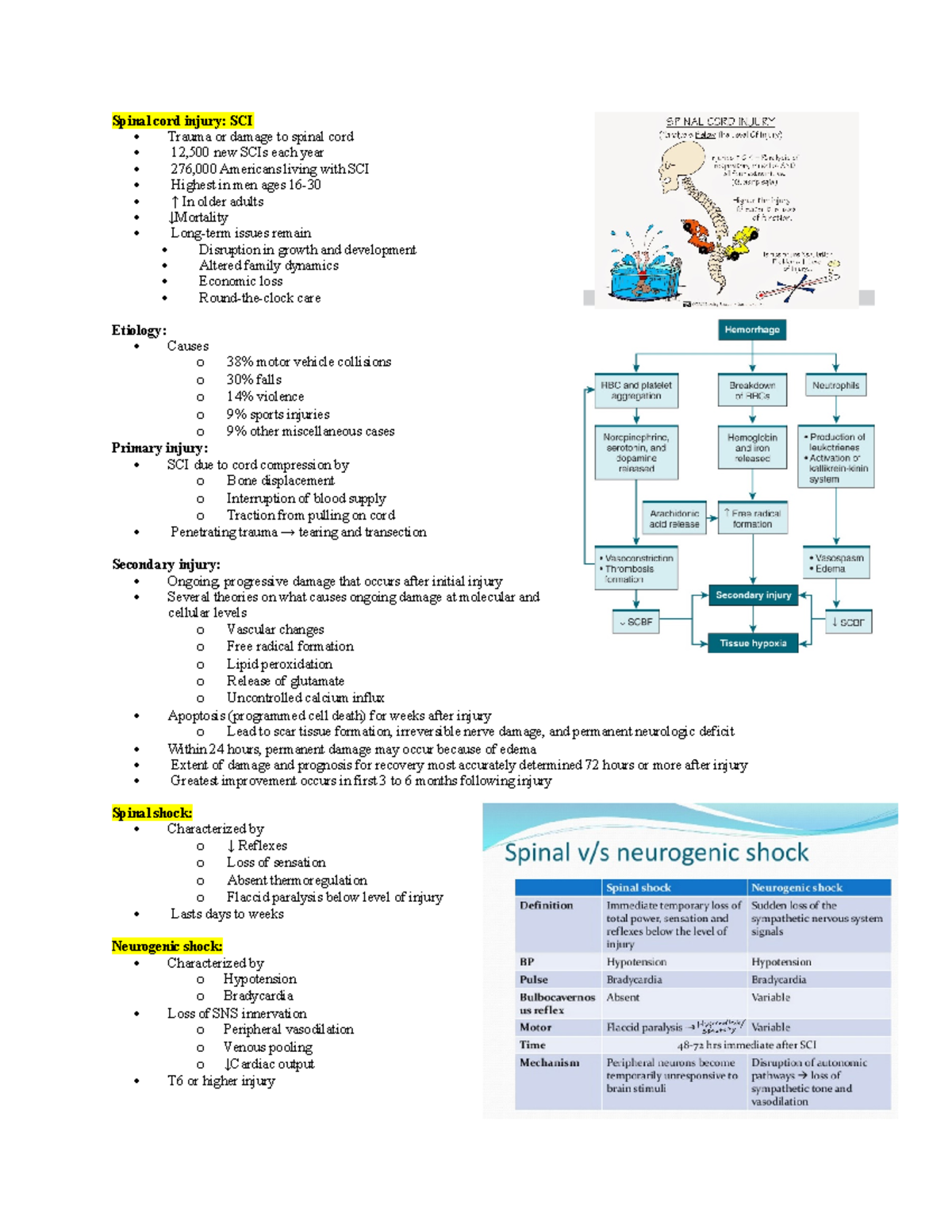 Test 3 Spinal cord injury - Spinal cord injury: SCI Trauma or damage to ...