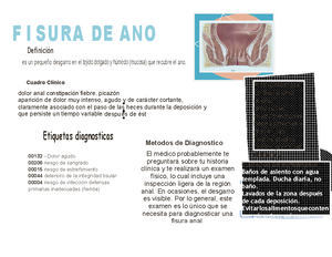 Absceso anorrectal - Patologias - A B S C E S O A N O R R E C T A L ...