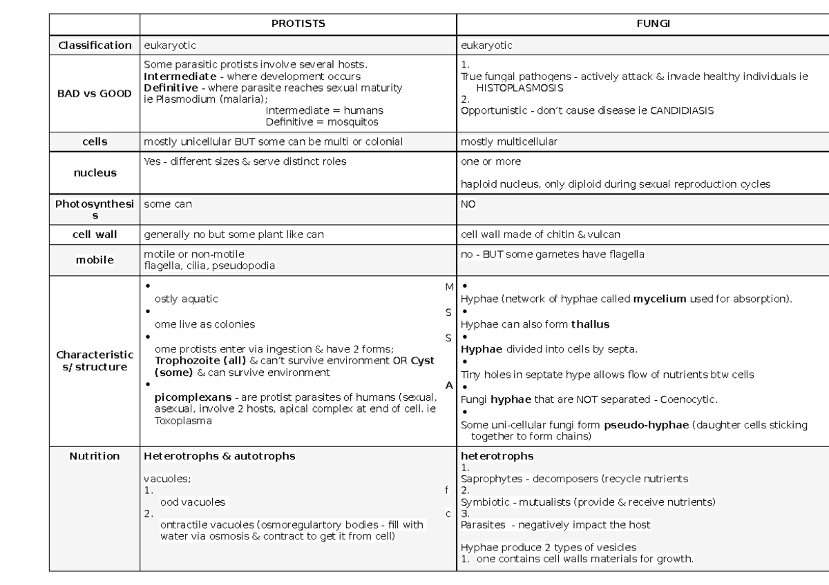 Protists Fungi Table - PROTISTS FUNGI Classification eukaryotic ...